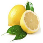 List of all Seasonal Vegetables in Pakistan - The Land Of Pure People ...