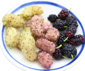 List of Seasonal Fruits of Pakistan - Pakistani Fruits