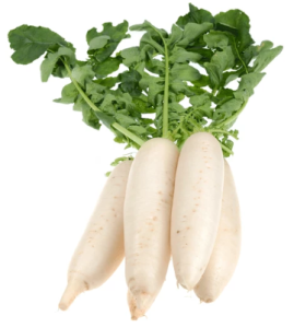 List of all Seasonal Vegetables in Pakistan - The Land Of Pure People ...